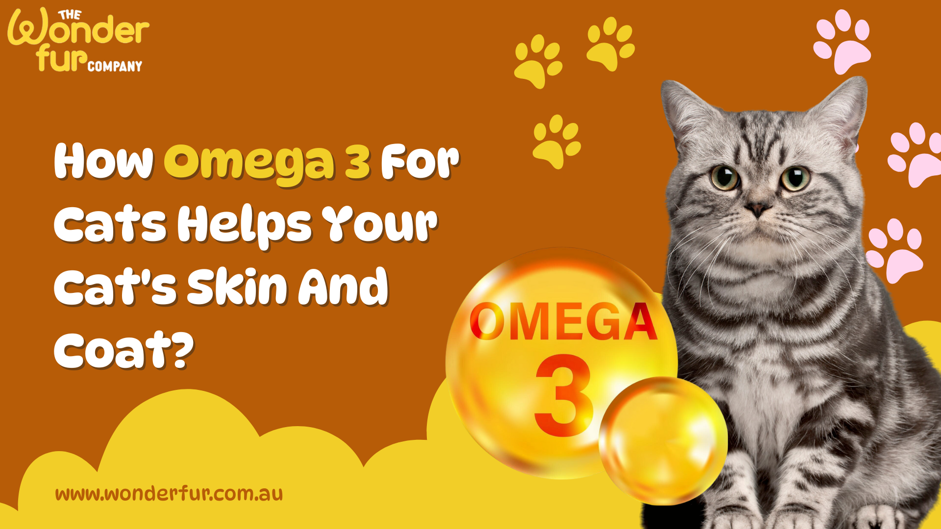 Omega 3 for Cats: Support Healthy Skin & a Shiny Coat Naturally