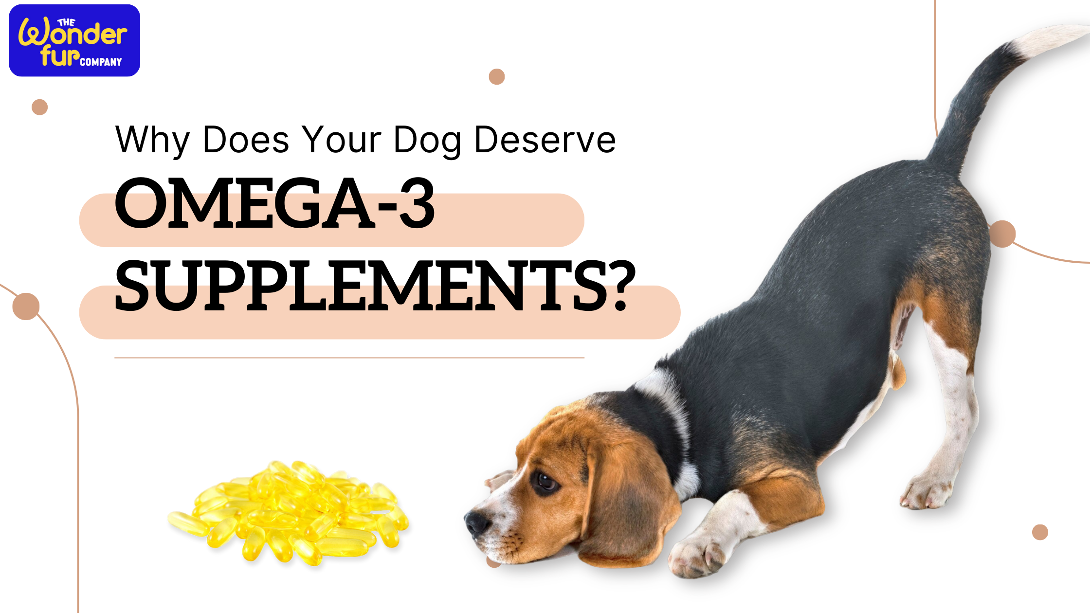 What Omega-3 Supplements Can Do for Your Dog’s Health – wonderfurcompany